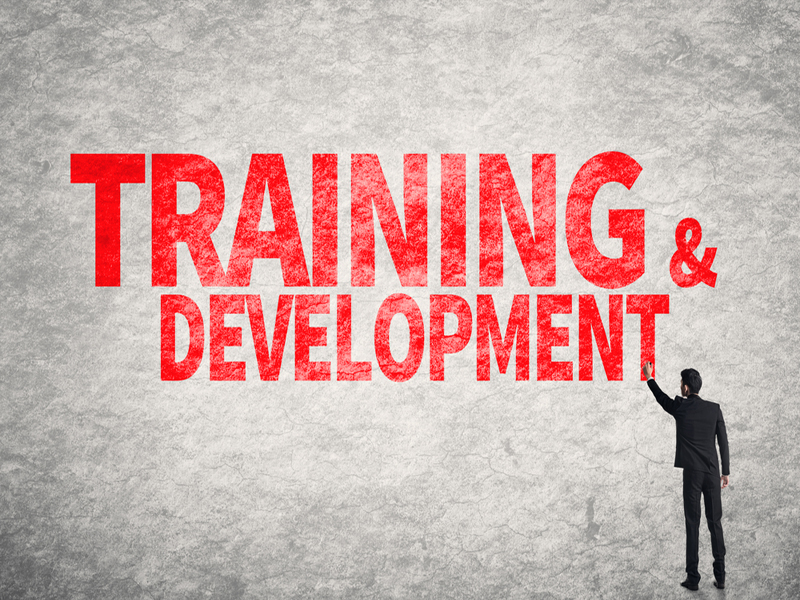 Negative Effects of not Training in the Workplace – 4D Group